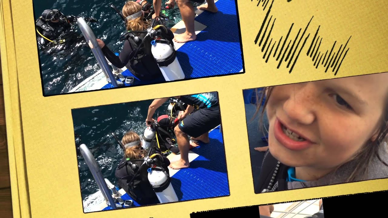 Diving 2016 - YouTube