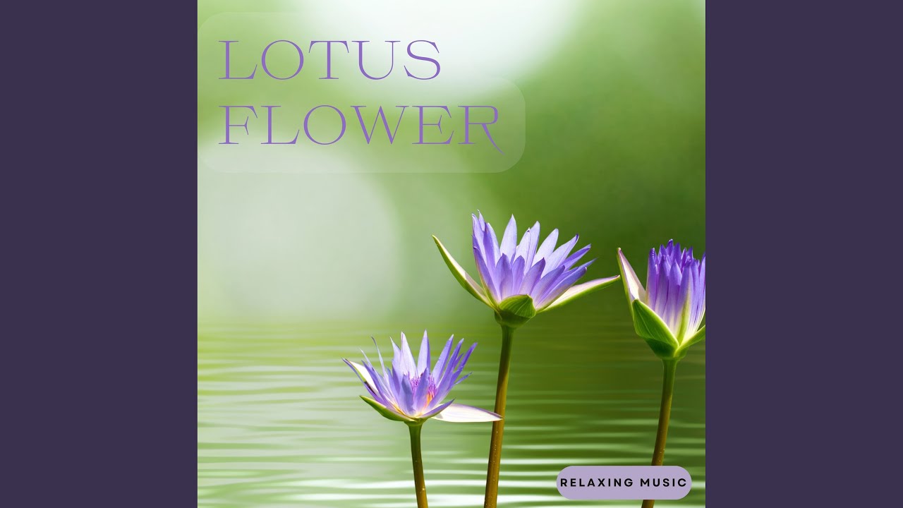 Wasted Heart - YouTube Music