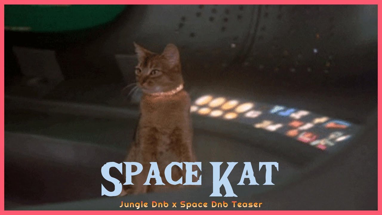 Space Kats (Jungle DnB Mix Teaser) - YouTube