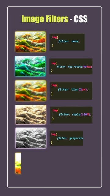 Coding Html Programming Python Cssanimation Javascript Code Beginners Youtube