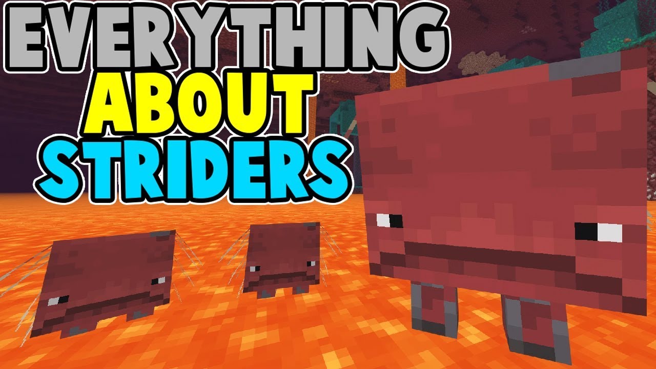 Everything About Strider Mobs - Minecraft 1.16 Nether Update - YouTube