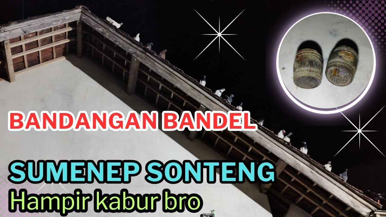 BANDANGAN BANDEL SUMENEP SONTENG HAMPIR KABUR PADAHAL SUDAH GELAP ...