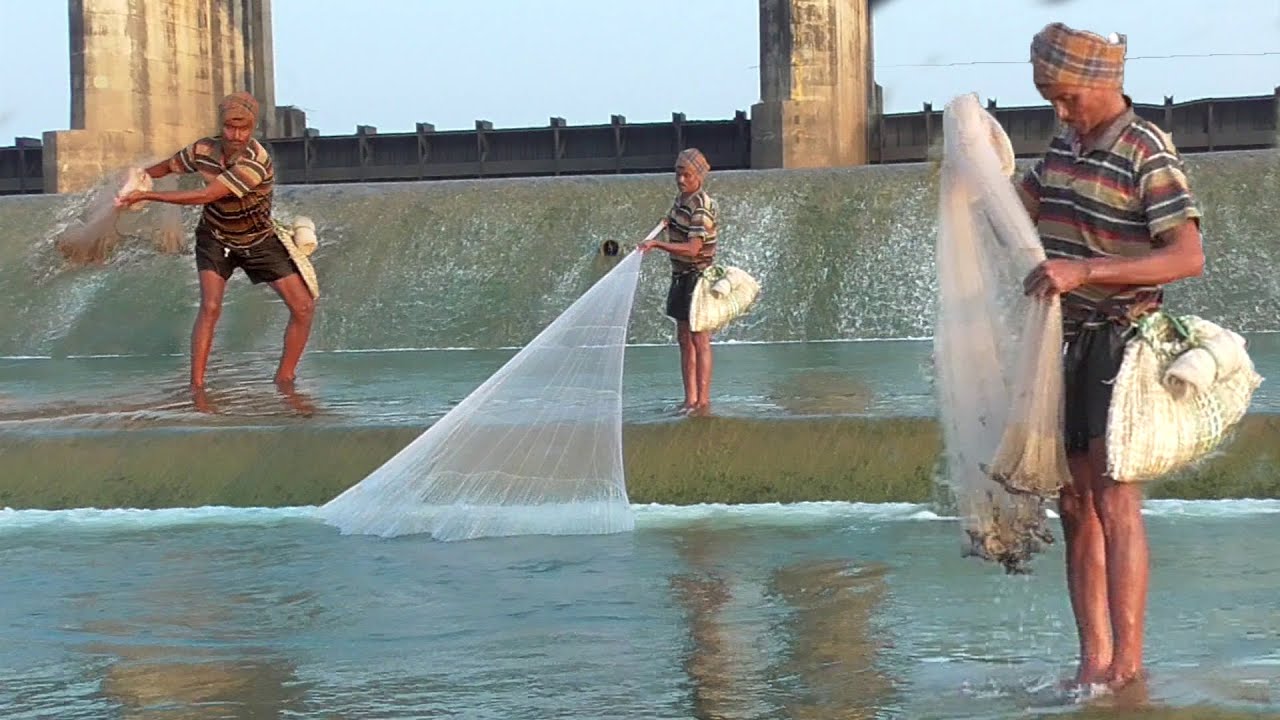 Amazing Fishing in Dam Catch Small Fish / Village Survival Food - YouTube