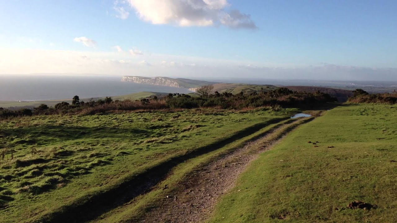 Walking Tiggy, my rescue Jack Russell Terrier on Mottistone Down, Isle ...
