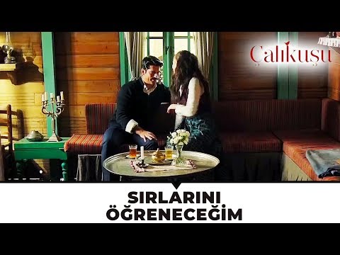 Kamran ve Feride Doğruluk mu Cesaret mi Oynuyor | Çalıkuşu