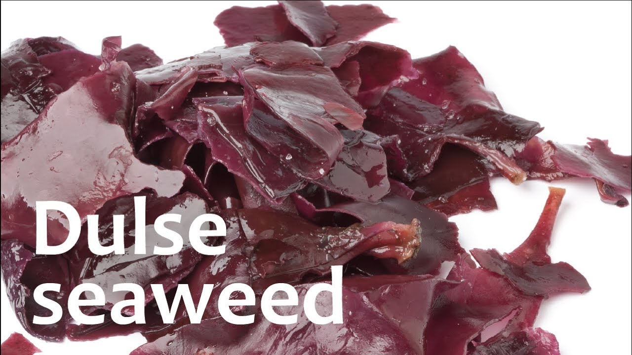 Dulse seaweed benefit_ SEAWEED ORGANICS SKINCARE - YouTube