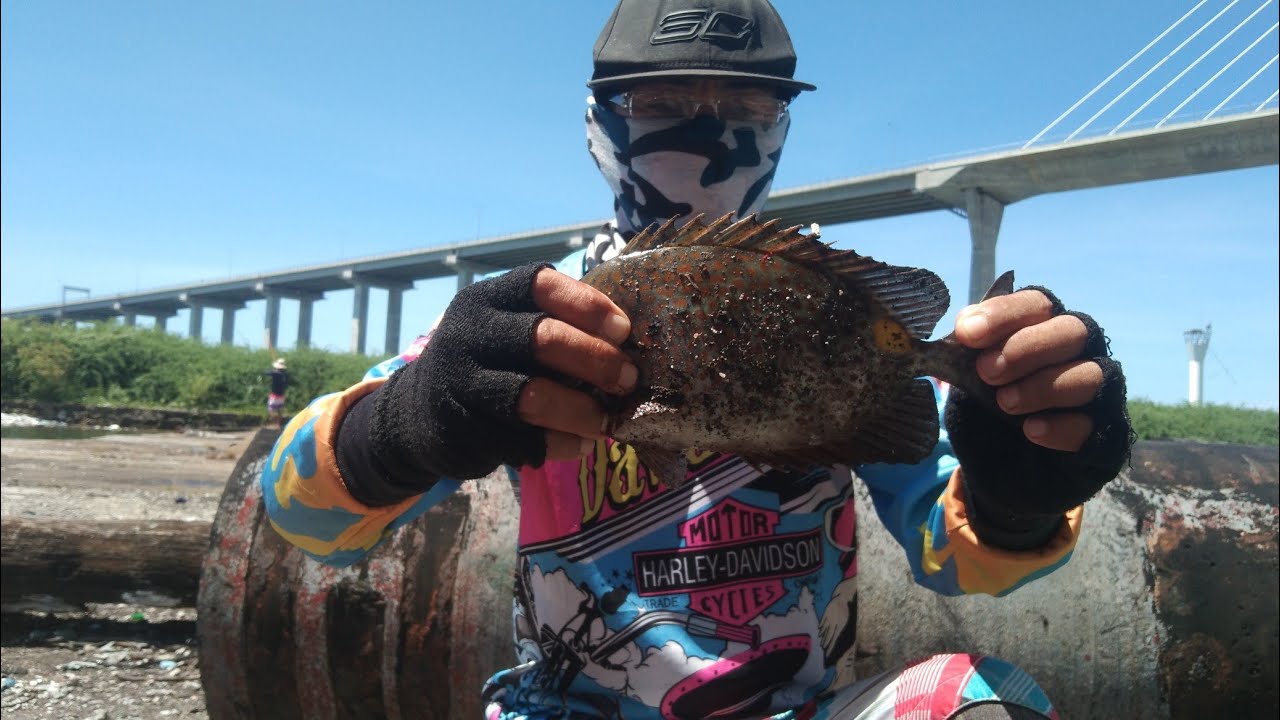 LUTONG TAUSI(RABBITFISH/KITONG)CATCH & COOK -SIMPLENG LUTONG ...