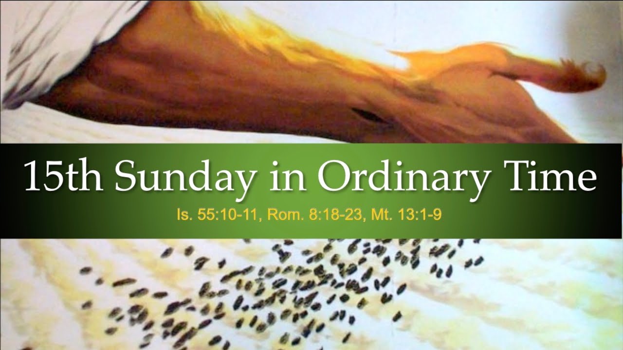 15th Sunday In Ordinary Time/ Homily/ God is the Sower of the Word ...