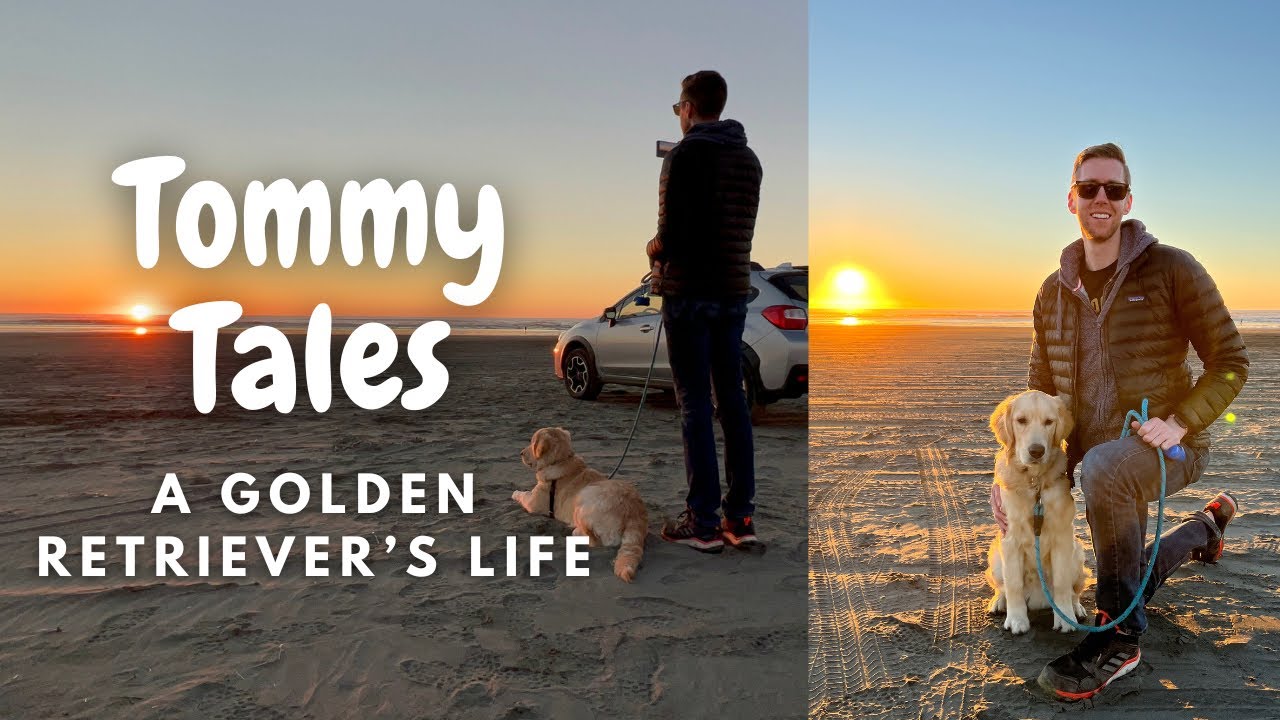 Tommy Tales: beach vacation at Ocean Shores - YouTube