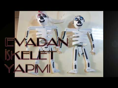 İSKELET SİSTEMİ MODELİ EV ÖDEVİ -skeletal system model