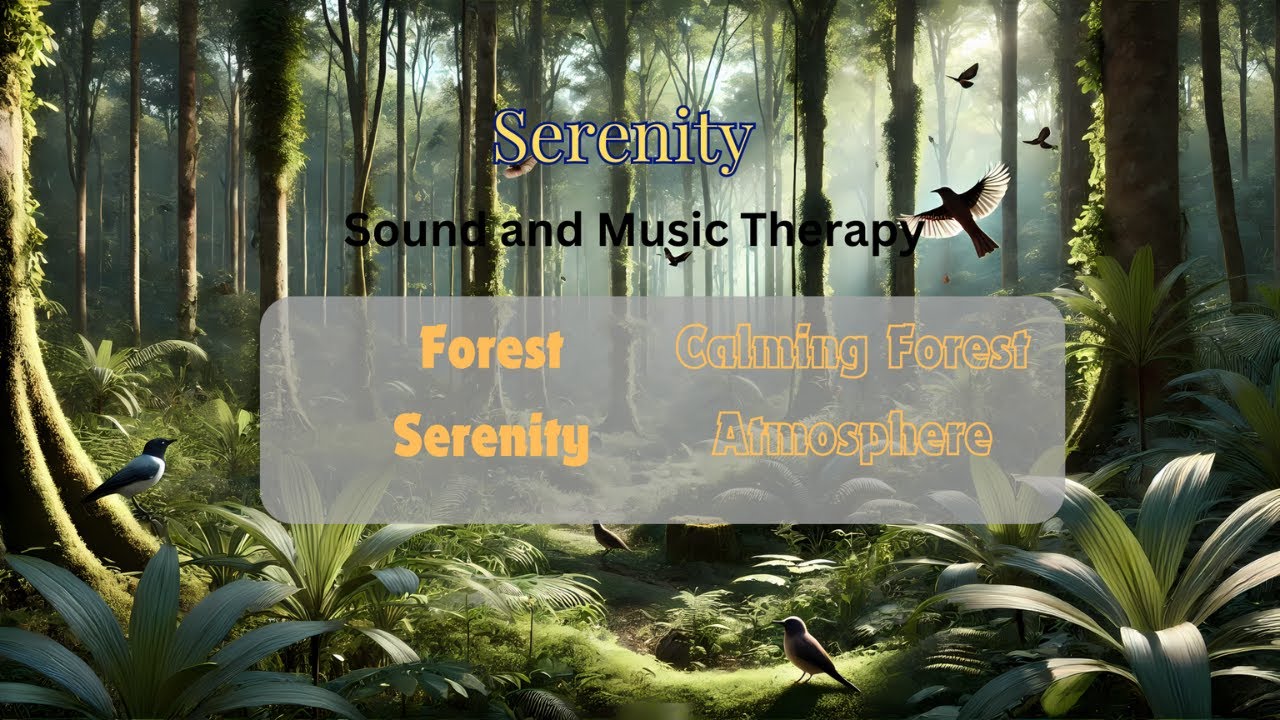 Forest Serenity - Calming Forest Atmosphere - YouTube