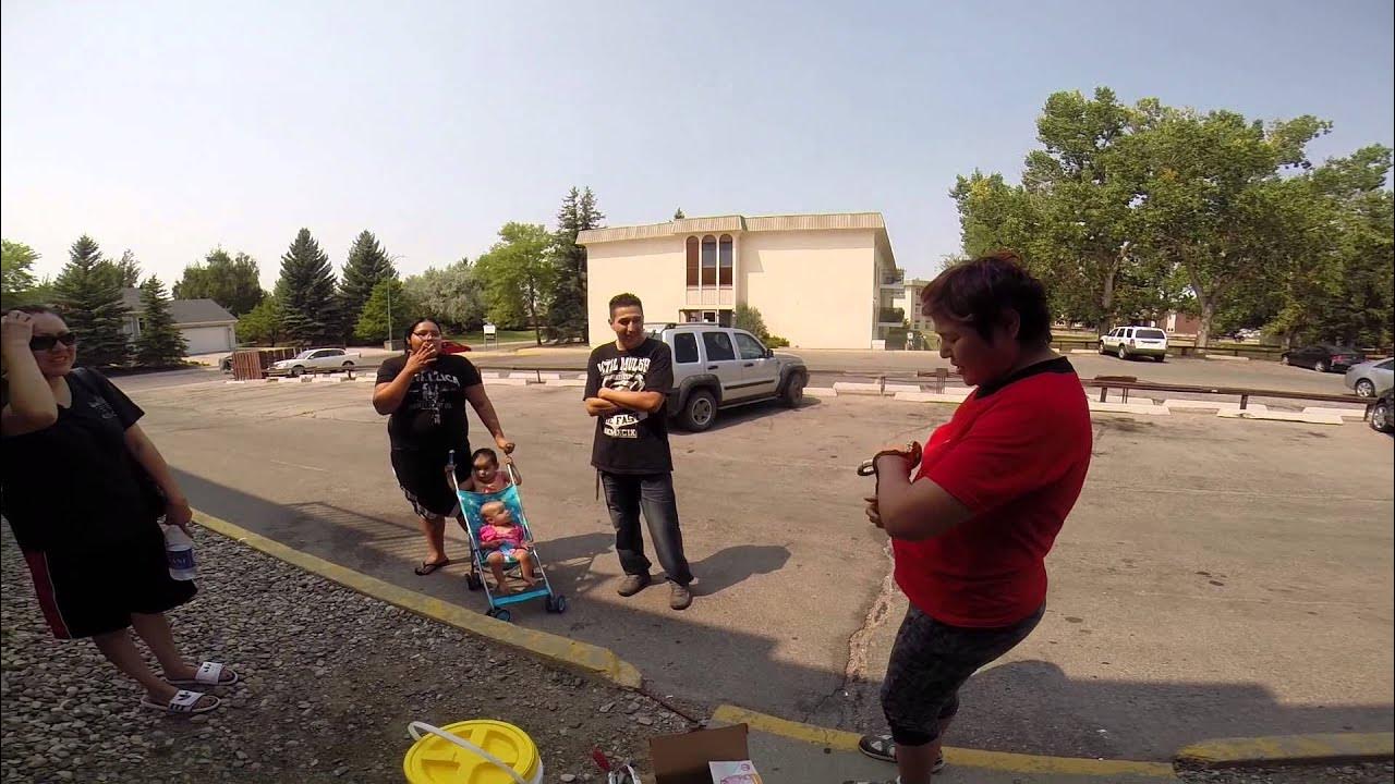 Python Found In Scenic Heights - YouTube