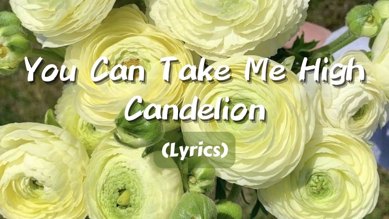 You Can Take Me High - Candelion【Lyrics】 - YouTube