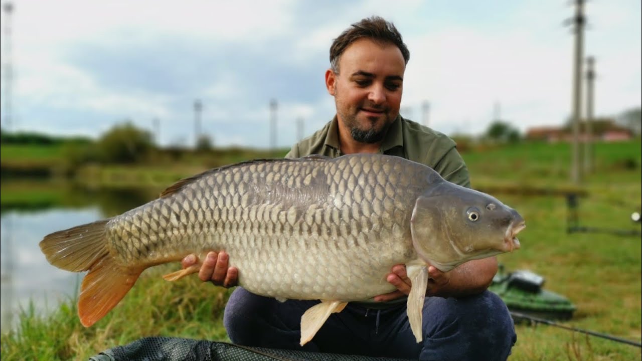 Pescuit la Crap pe Balta Ben 2020 - YouTube