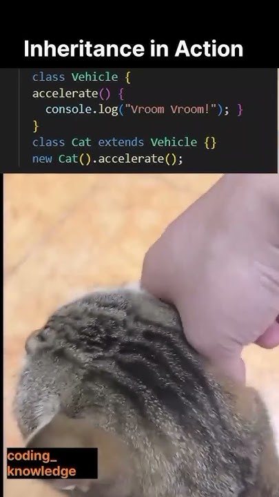 Inheritance In Action 🤣 #inheritance #java #javascript #python #coding ...