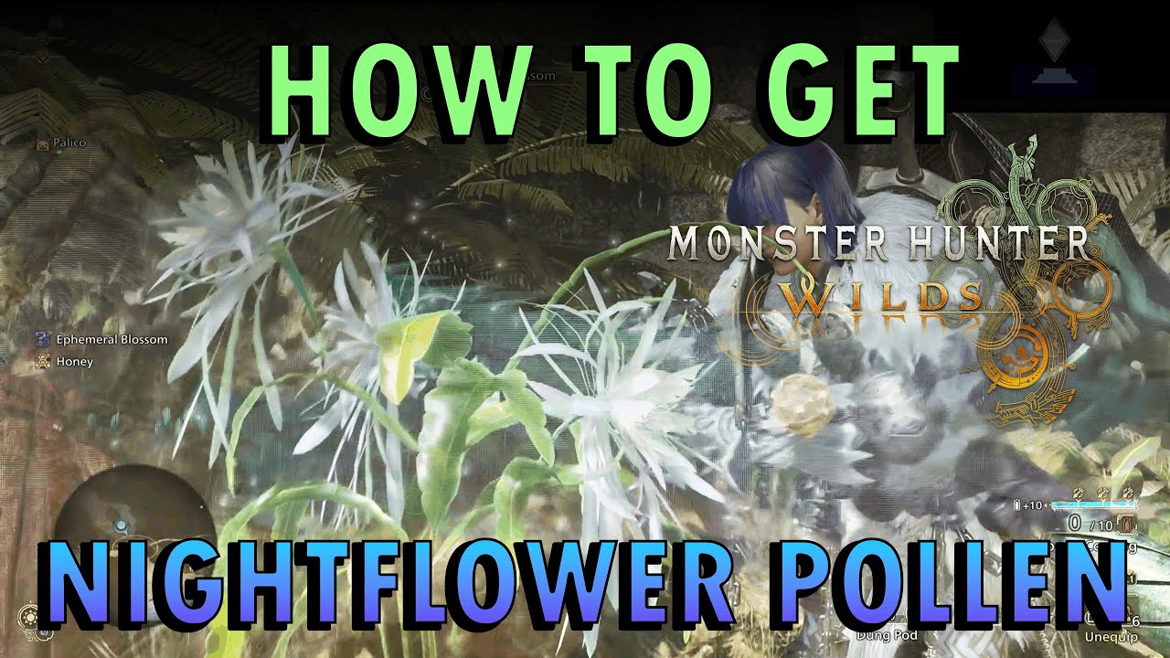 Monster Hunter Wilds - How to get Nightflower Pollen | Rarity 6 Special ...