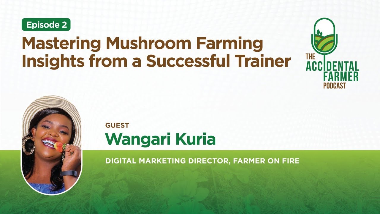 Episode 2: Mastering Mushroom Farming - Wangari Kuria - YouTube