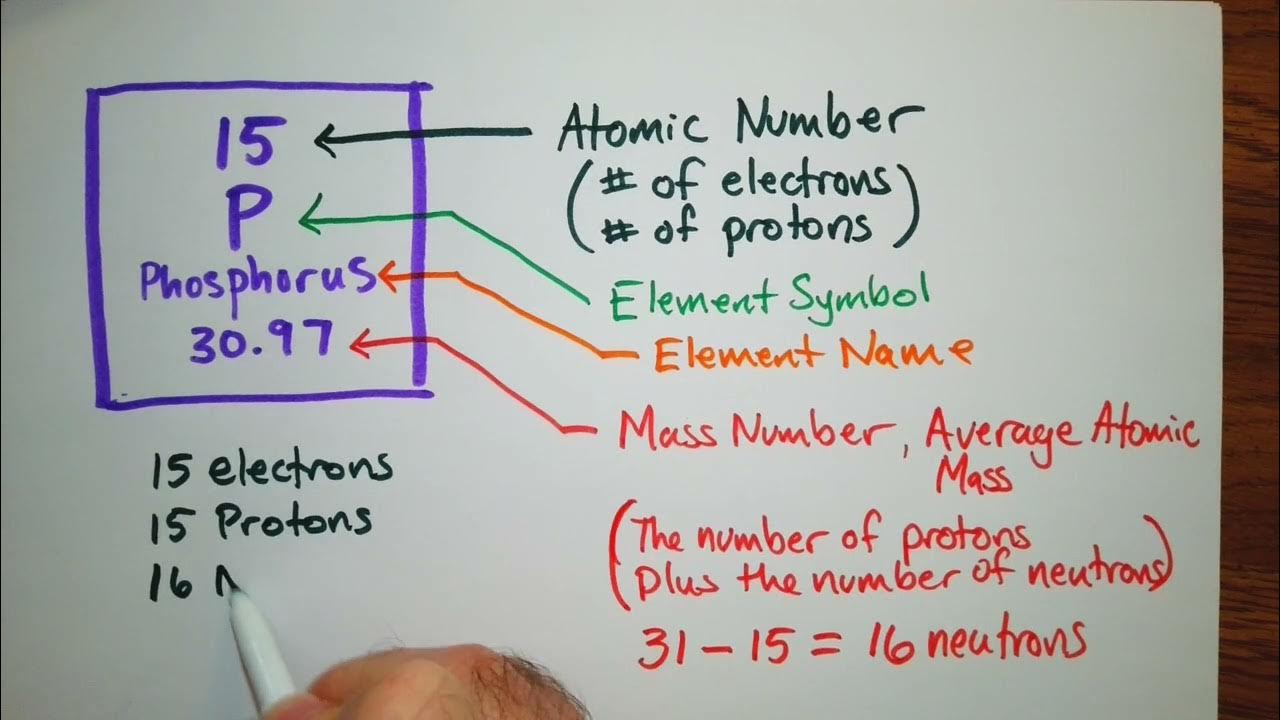 Atomic Structure: How to Find the Number of Protons, Neutrons, and Electrons (Easy Explanation ...