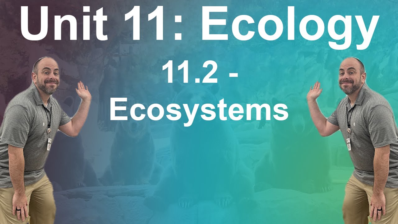 Honors Biology Unit 11 - 11.2 - Ecosystems - YouTube