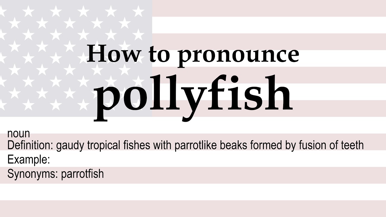 How to pronounce 'pollyfish' + meaning - YouTube