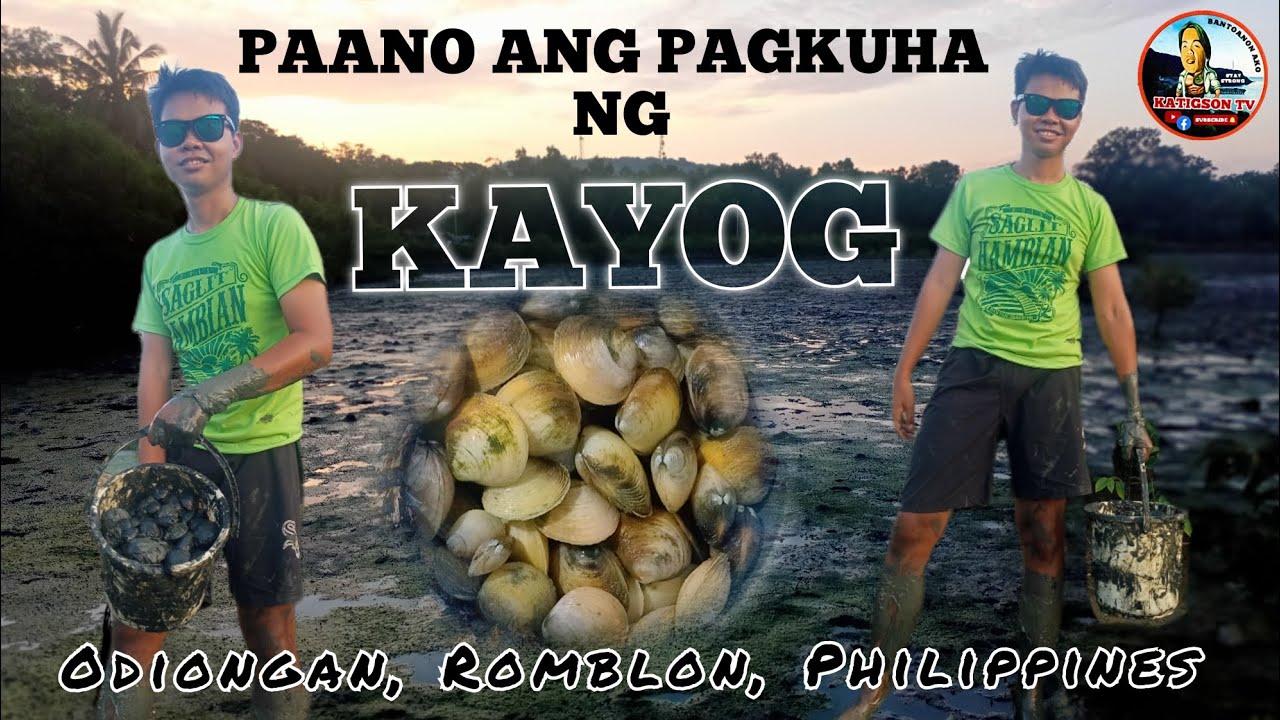KAYOG SHELL 🦪🦪 SOBRANG PUTIK NAYAN INSAN MEKUS MEKUS#romblonvloggers # ...