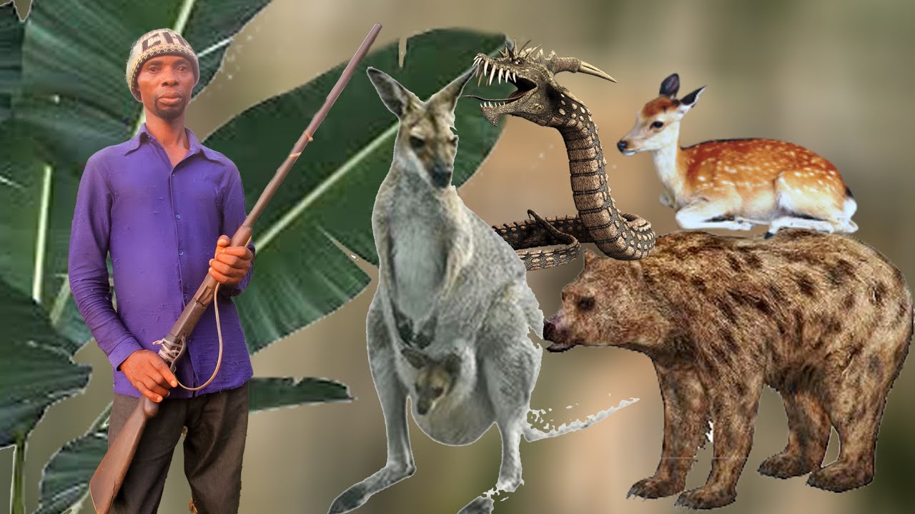 SC@RY STORY OF A GHANAIAN HUNTER. HUNTER NARRATES HOW HE MET RIVER ...