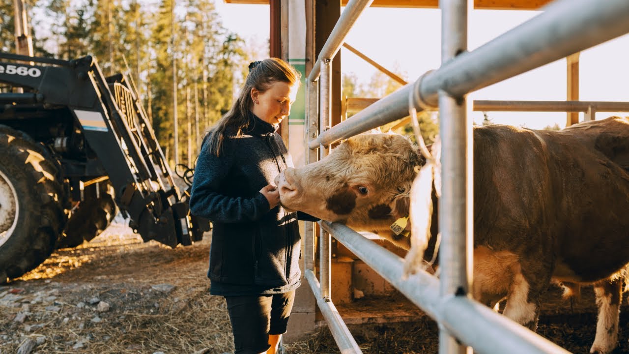 The Shine Awards ‘look to celebrate’ rural Australian women - YouTube
