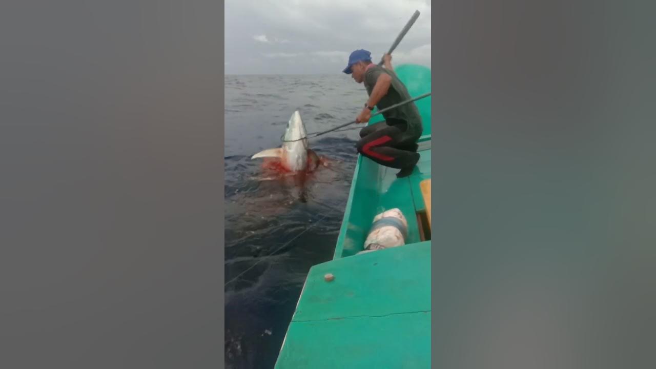 lomba mancing mania kab. Konawe kepulauan - YouTube