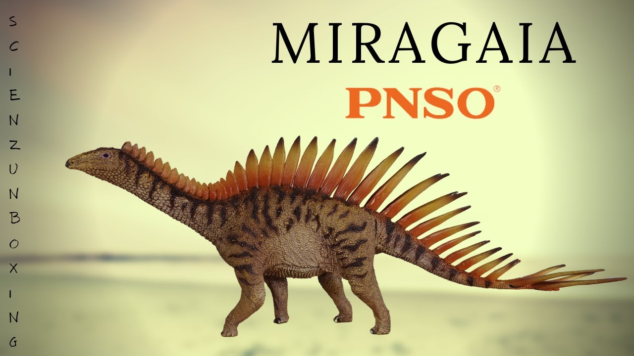 PNSO - Miragaia - SCIENZUNBOXING - YouTube
