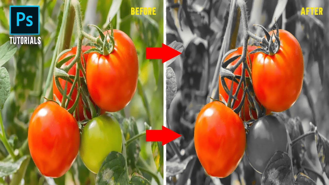 Photoshop How To Keep One Color In The Picture - YouTube