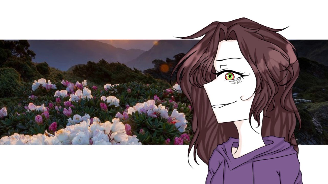 No diggity (Meme) - YouTube