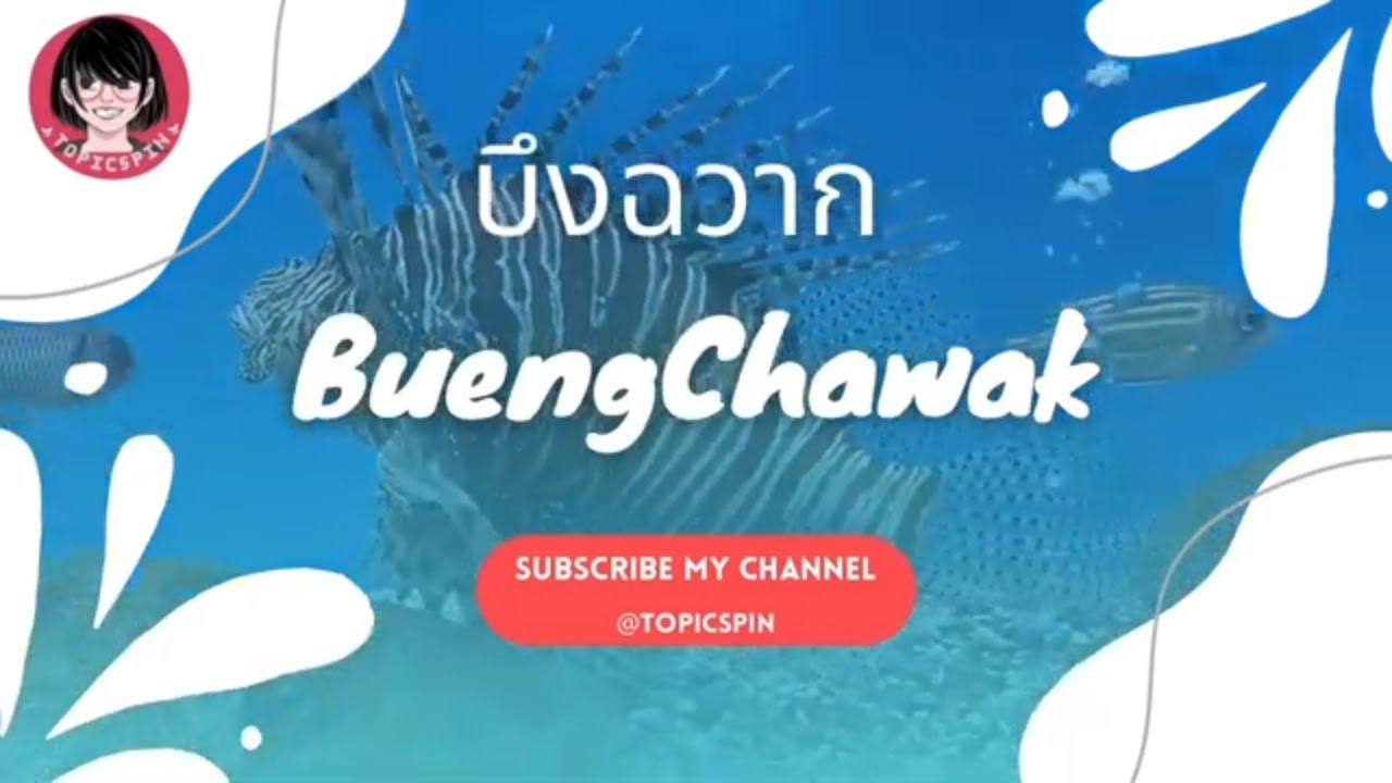 บึงฉวาก อุโมงค์ปลา ค่าเข้า30 สุพรรณบุรี Bueng Chawak, fish tunnel, entrance fee 30 Suphanburi ...