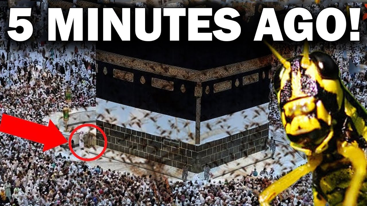 Strange Insects INVADE Kaaba In Mecca And TERRIFIES Muslims - YouTube