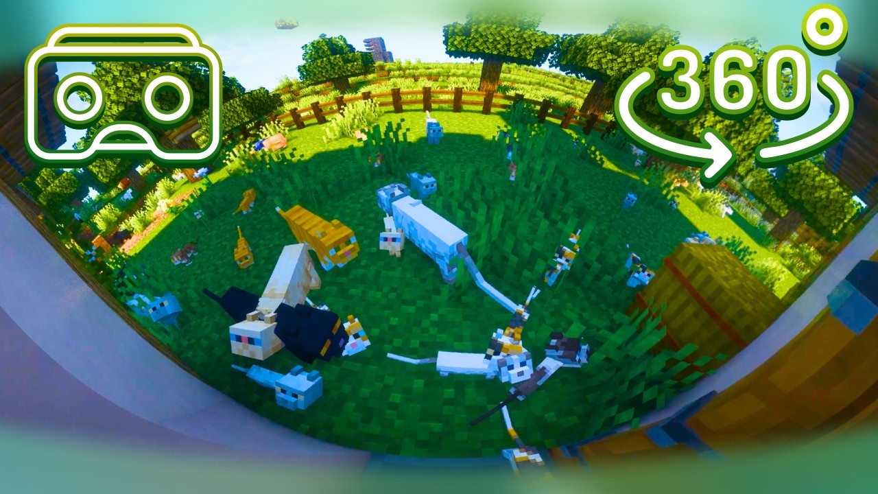 360 Degree VR Video. 🐱 WARNING: This video is for true cat lovers only ...