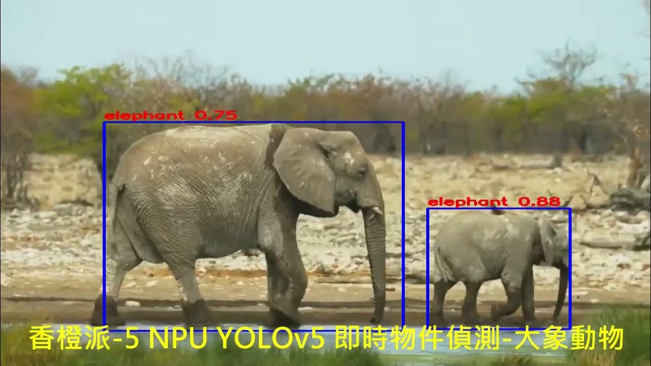 Orange Pi 5 YOLOV5 人工智能 NPU 神經網路開發套件 Python OpenCV - YouTube