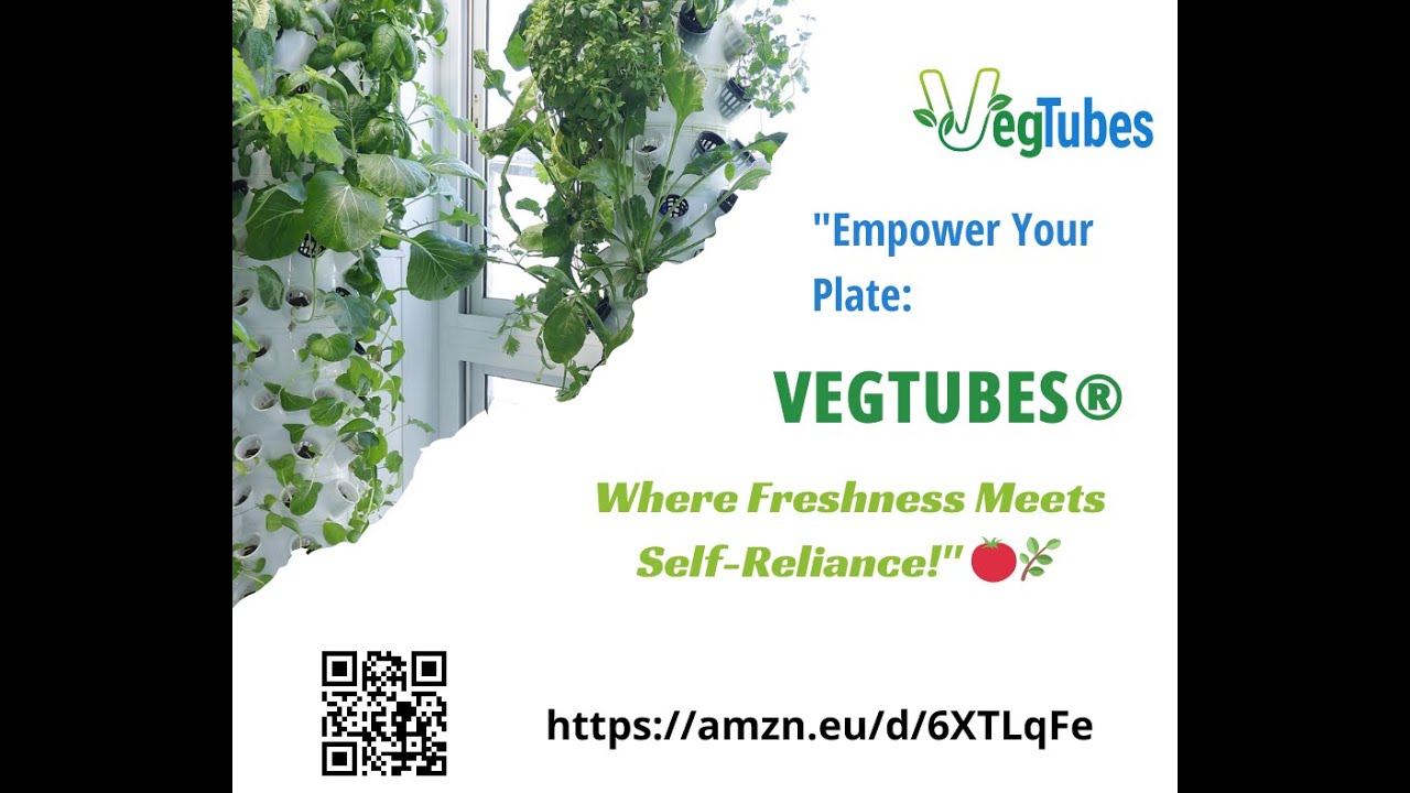 Grow Your Own Food Anywhere with VegTubes Aeroponics 🥕 - YouTube