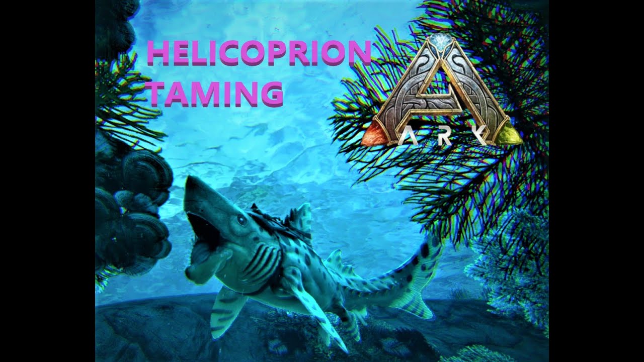 Taming the Helicoprion! Ark: Survival Evolved - YouTube
