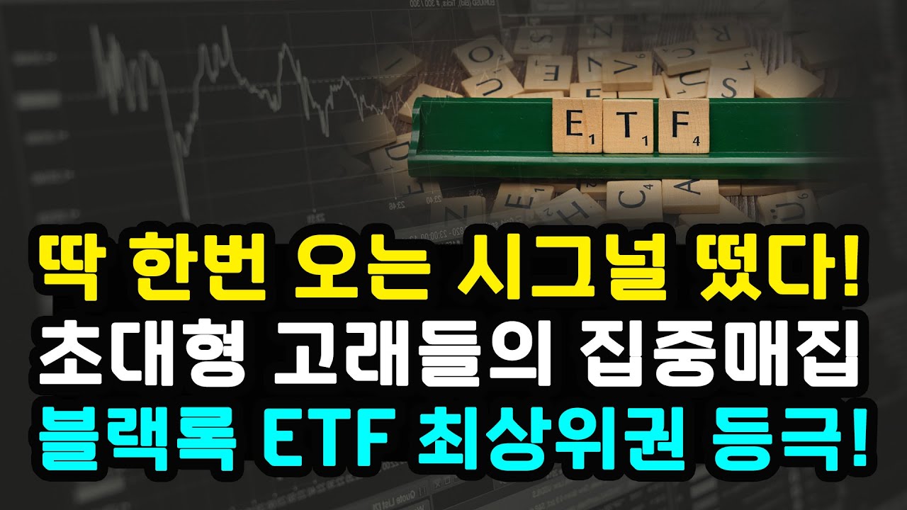 드디어 비트코인 이 시그널 떴다 초대형 고래들의 집중 매집 파월 연설과 금리 인하 시기 블랙록과 피델리티 최상위 Etf 등극