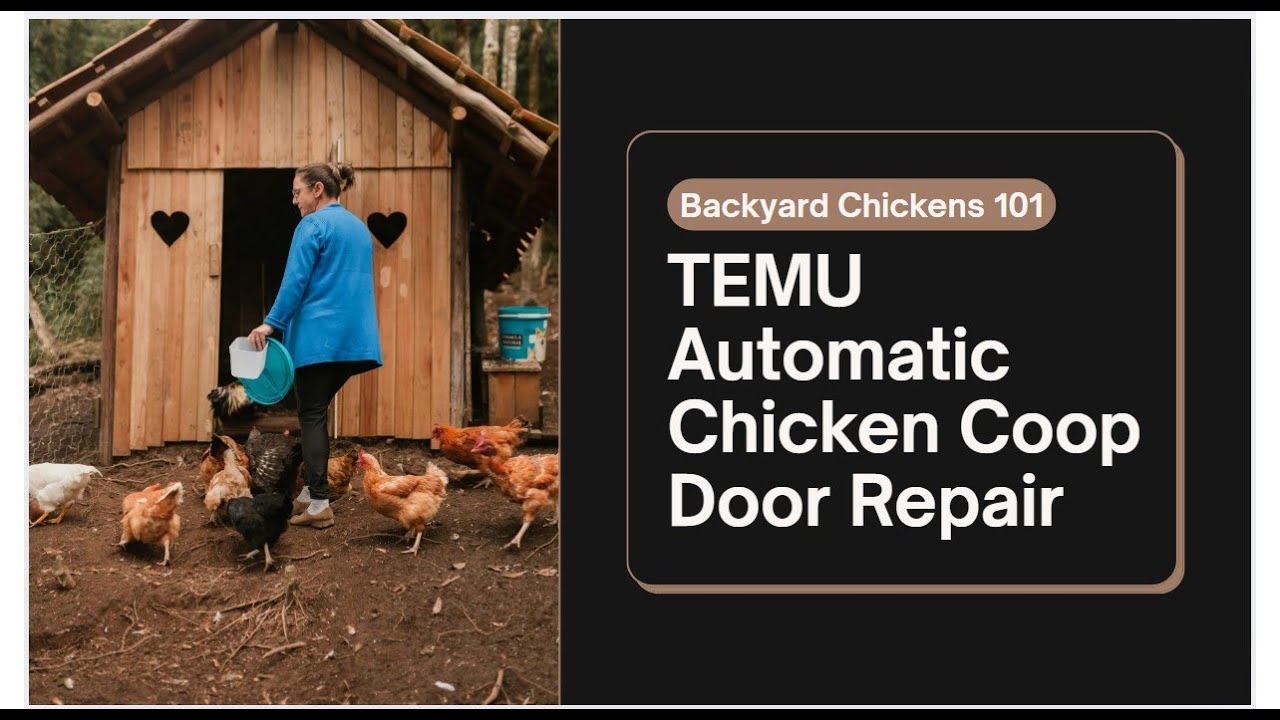 TEMU AUTOMATIC CHICKEN COOP DOOR REPAIR! - YouTube