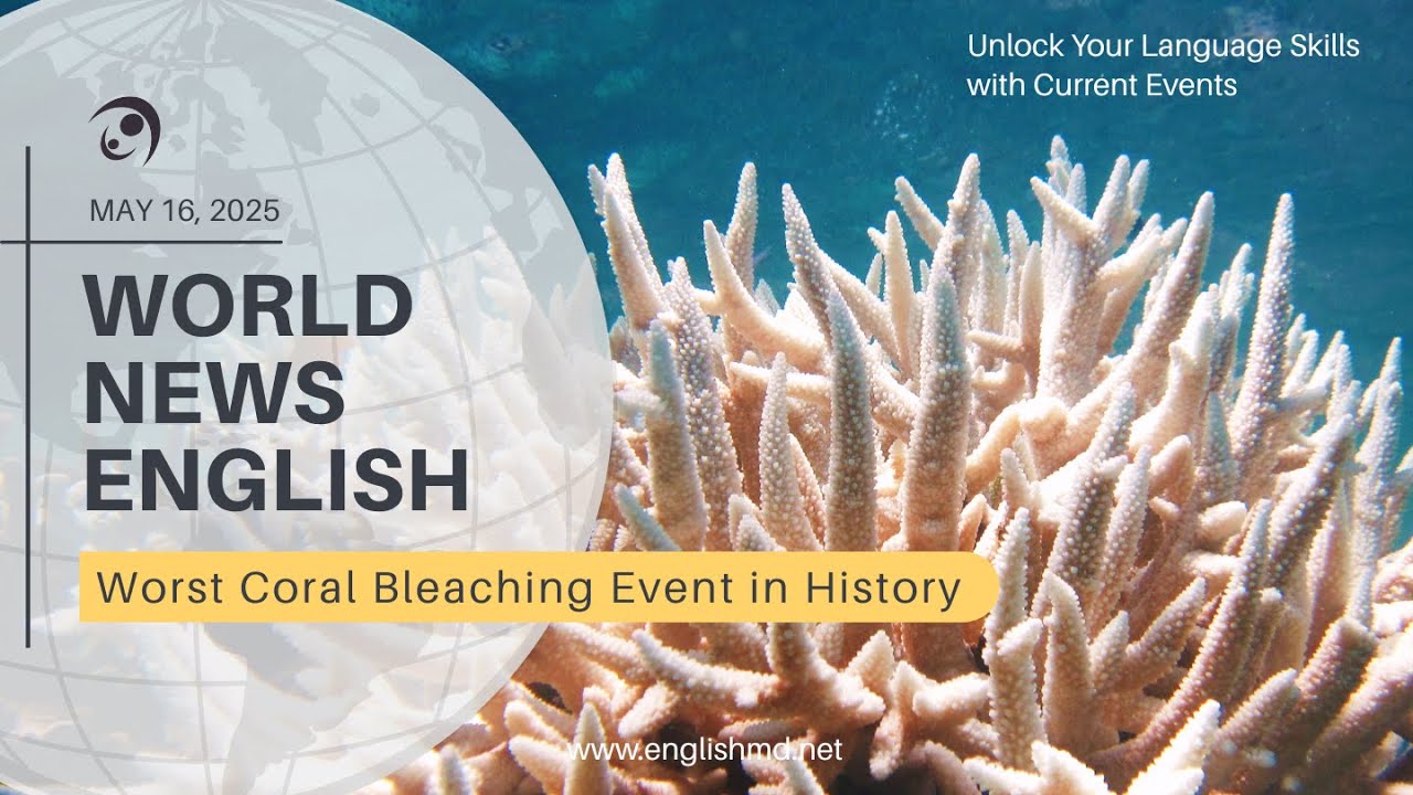 Global Coral Bleaching Event | World News English | English Improvement ...
