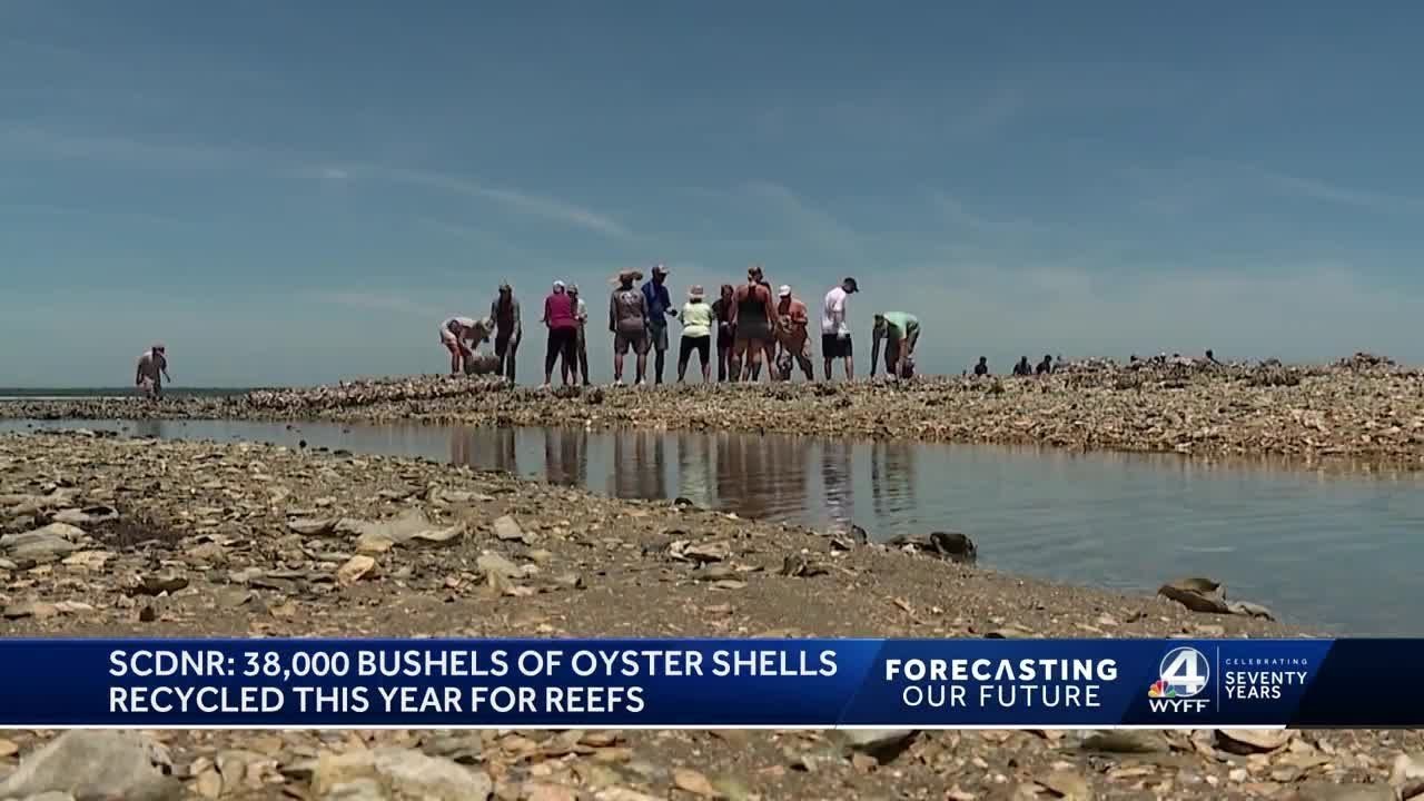Truckload of oyster shells from Greenville cap South Carolina's record ...