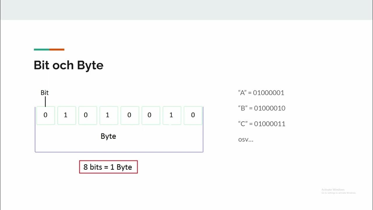 Enkel Guide till Lagring - YouTube