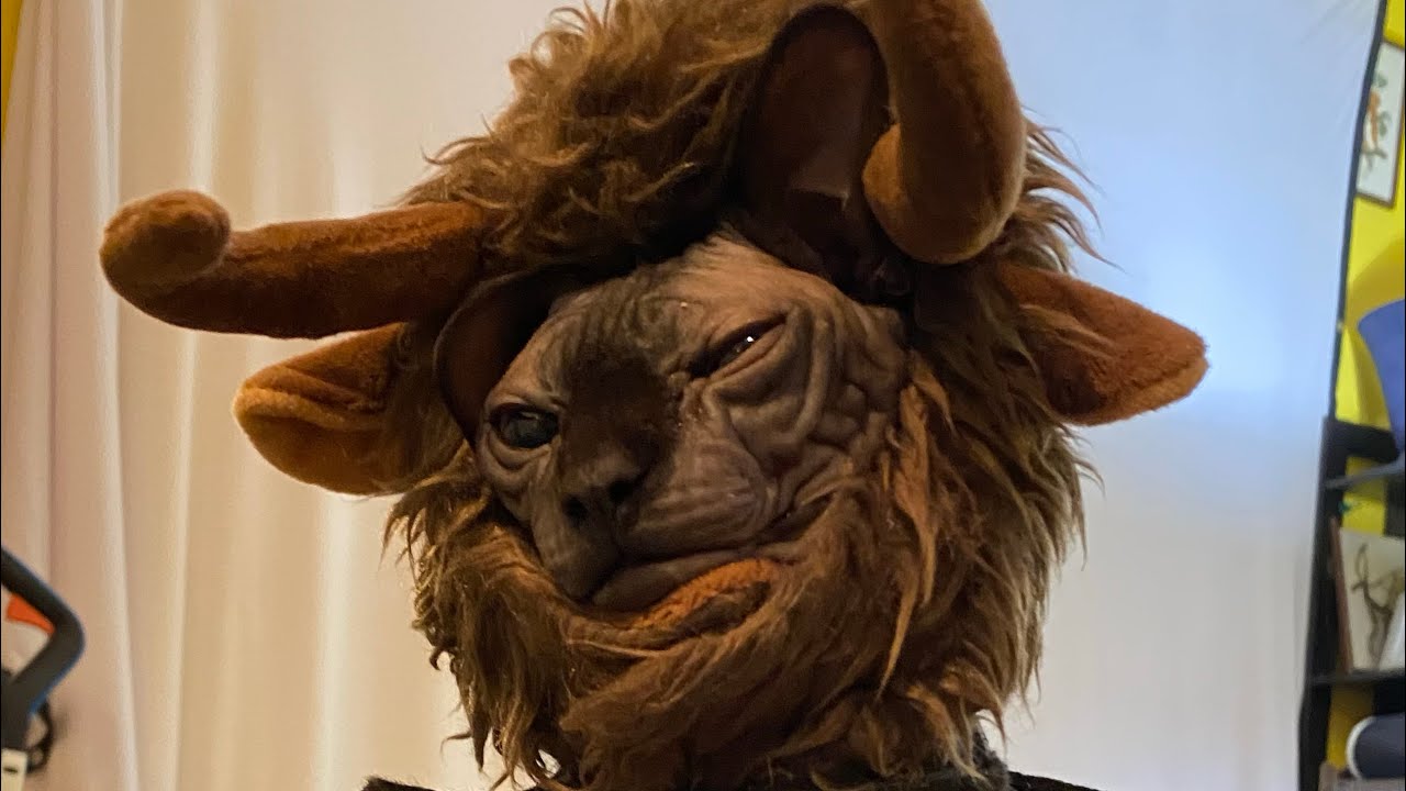 Sphynx Cats Mating: Cosplay. ‘Harry & Harriet: A Bull-Bat and a ...