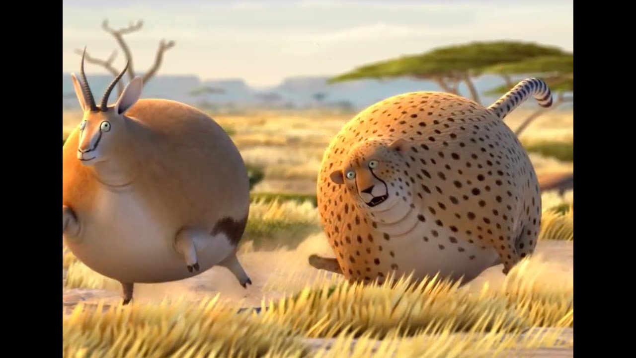 ROLLIN` SAFARI, Round Animals - YouTube