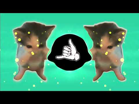 DJ KICAU KICAU KICAU MANIA SLOW VIRAL TIKTOK FULL SONG MAMAN FVNDY 2026 