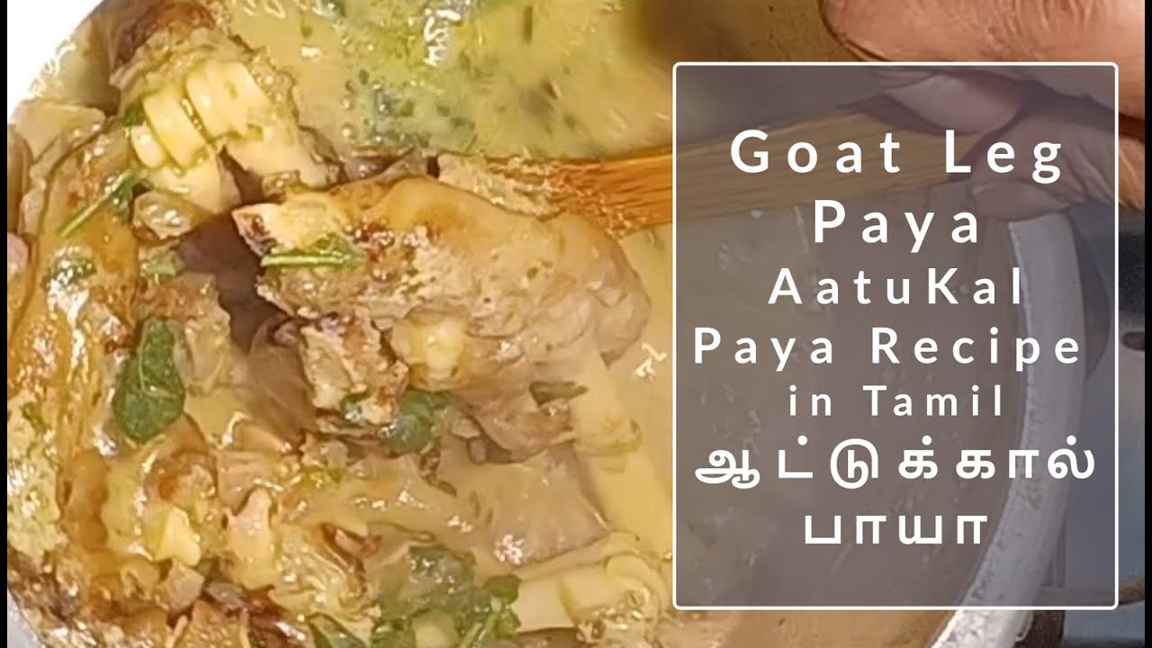 Goat Leg PayaAatuKal Paya Recipe in Tamilஆட்டுக்கால் பாயா - YouTube