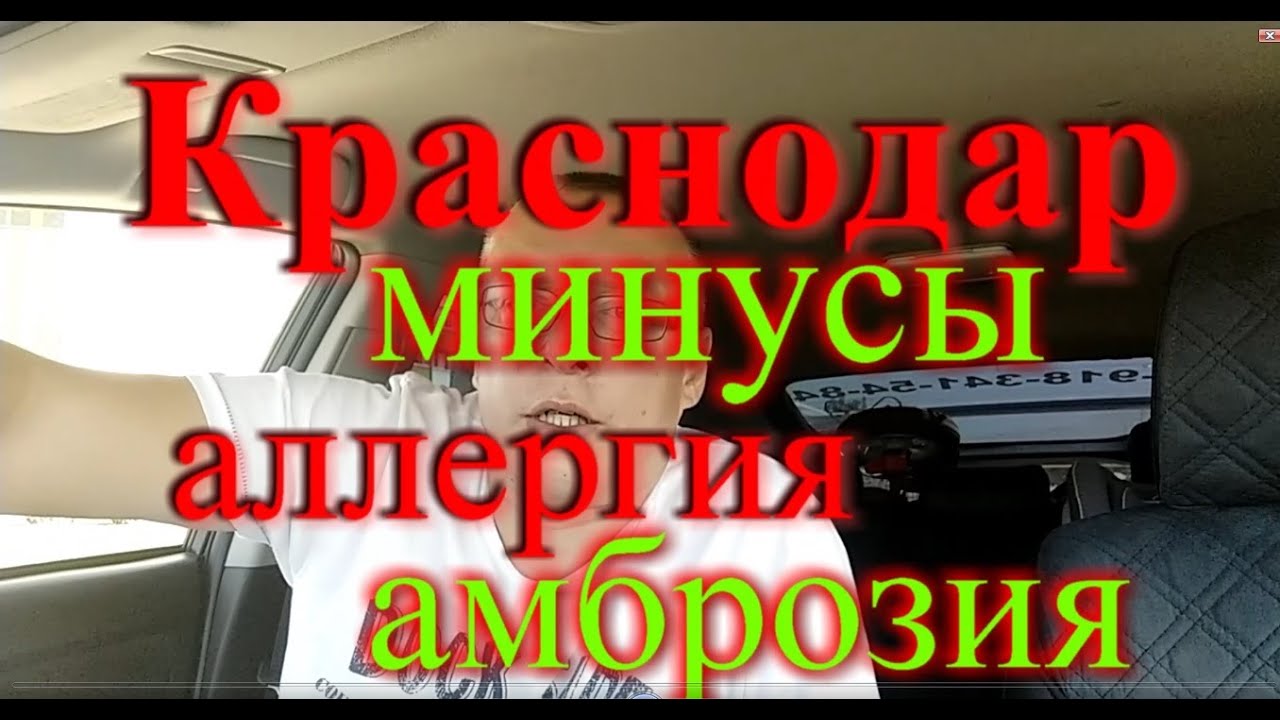 Краснодар минусы амброзия аллергия - YouTube
