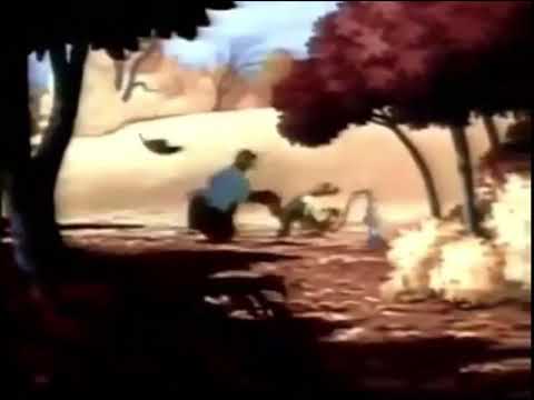 Song of the south everybody has a laughing place disney 🐝 - YouTube