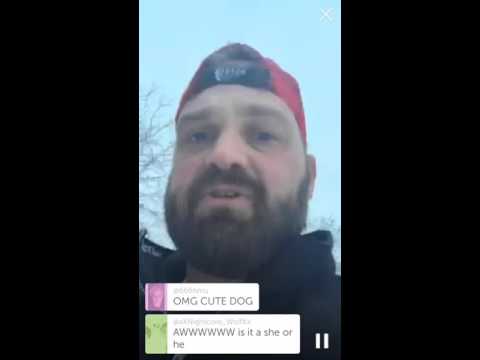 Dog Walk Periscope