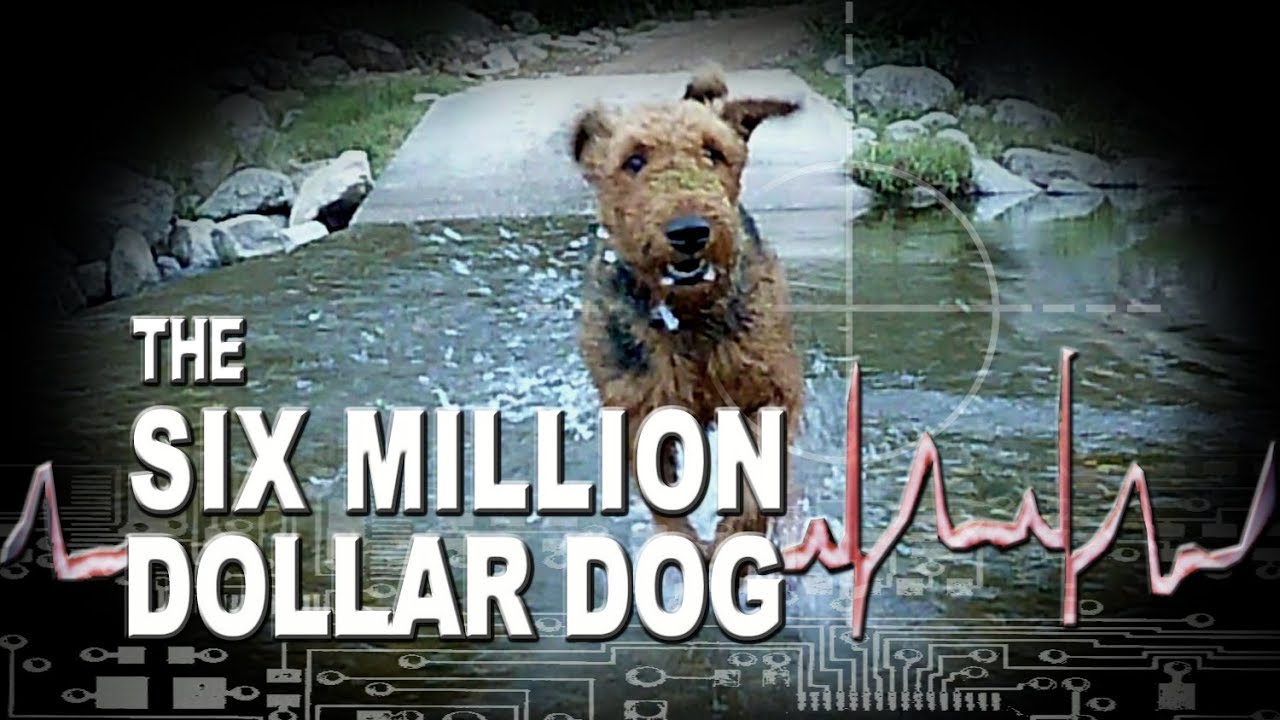 Six Million Dollar Dog Dr. Rudy Wells Friends Comic Vine
